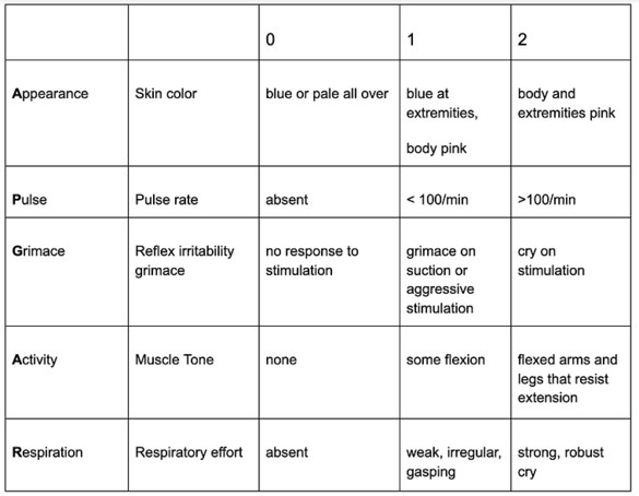 Apgar Score – Safety Check at the Beginning of Life · seca