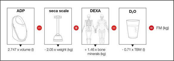 Bioimpedance analysis – it’s all about the algorithms! · seca