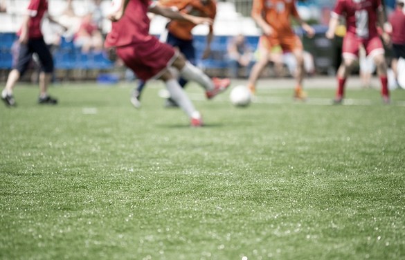 The UEFA European Championship · seca