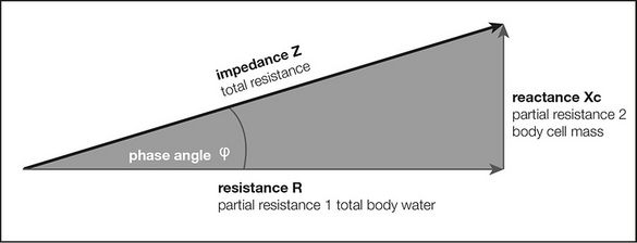 Bioimpedance analysis – it’s all about the algorithms! · seca